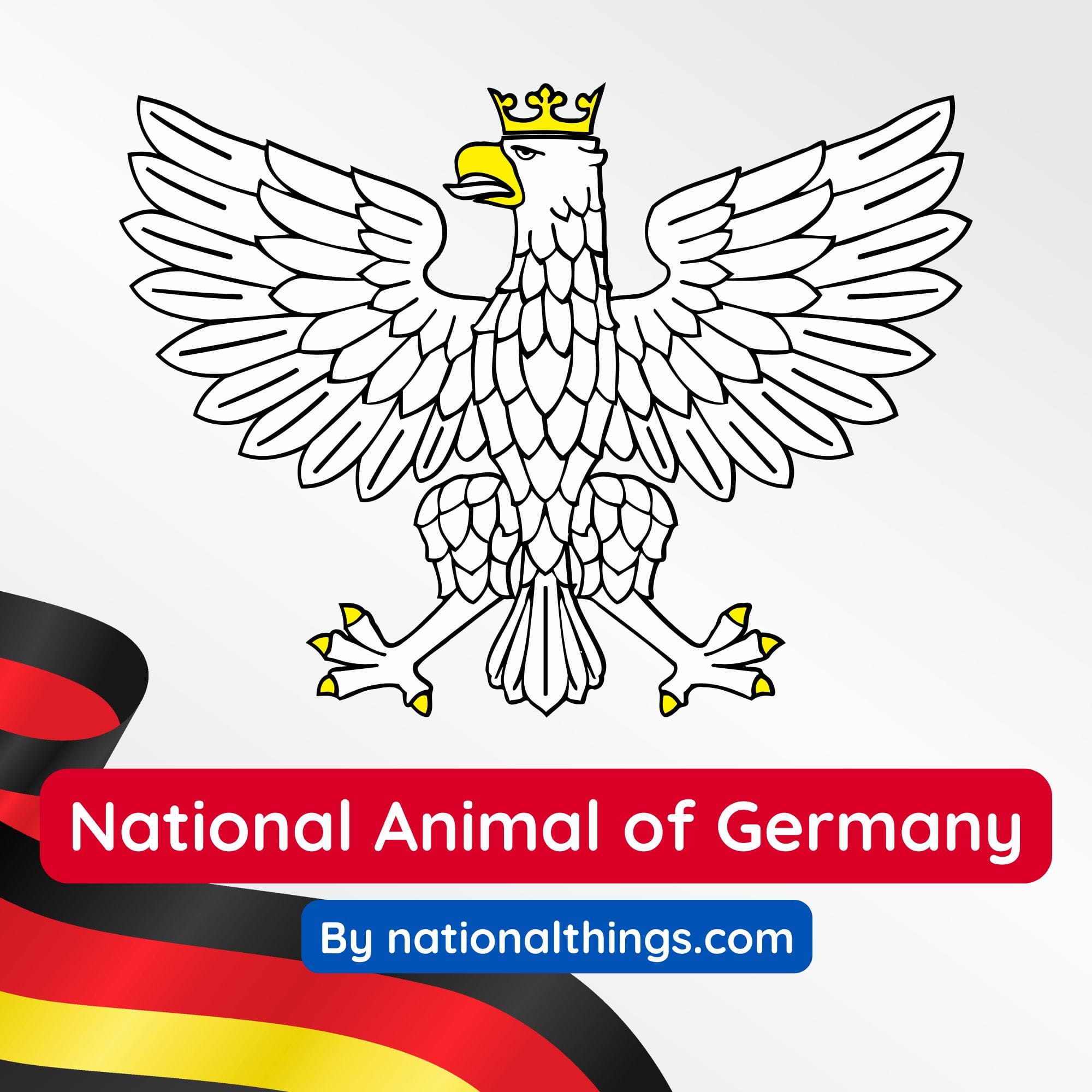 National Animal of Germany—The Eagle - National Things
