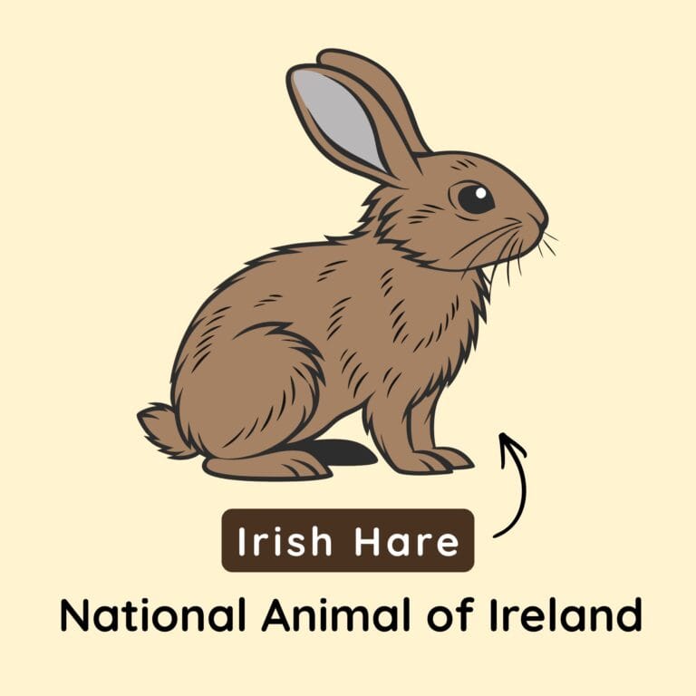 National Animal of Ireland – History, Meaning and Facts - National Things