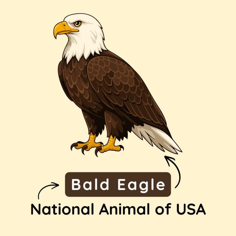 150 Most Important Countries and Their National Animals - National Things