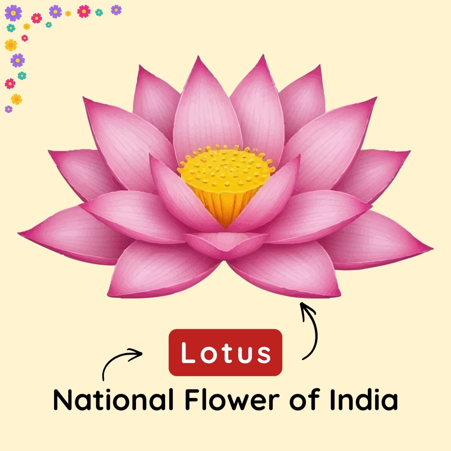 National Flower of India Explained with Meanings and History - National ...